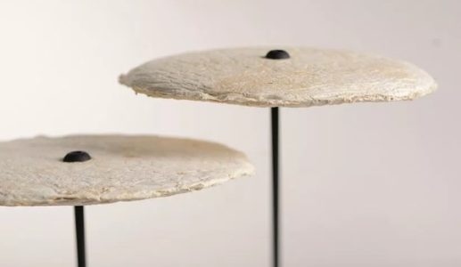 Prosthetic Leg Developed for Amputee Ballet Dancers