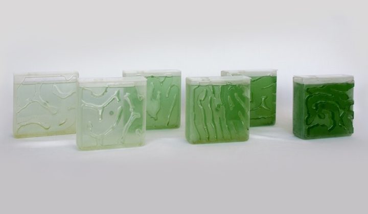Edible Packaging Material Created by Róza Janusz