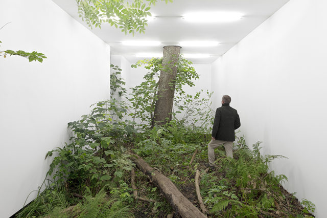 Robert Irwin Illuminates Brutalist Space With Large, Immerse Installation