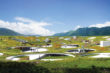 Sou Fujimoto Designs Building With Huge Green Roof