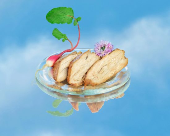 Air Protein Develops Meat Made From Air